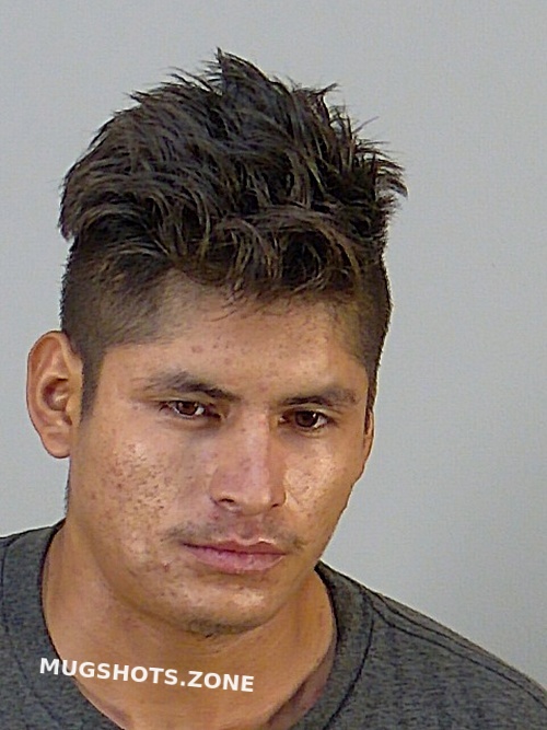 GUILLERMO LEONEL CORREA CONTRESAS 10/31/2022 - Lake County Mugshots Zone