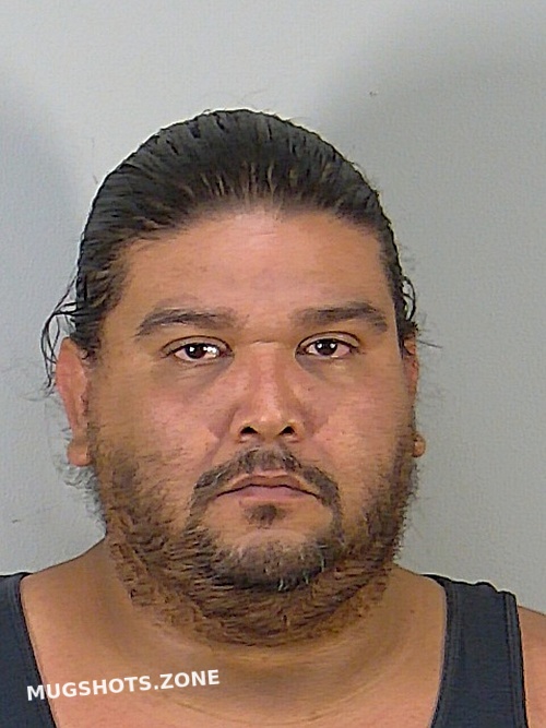 MIGUEL ANGEL VIRUET 11/07/2022 - Lake County Mugshots Zone