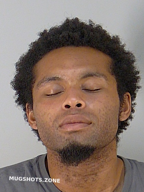 DAVID ALEXANDER CLARKE-ROSEN 11/17/2022 - Lake County Mugshots Zone