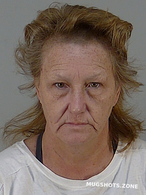 BARBARA TANNER COFFMAN 12/01/2022 - Lake County Mugshots Zone