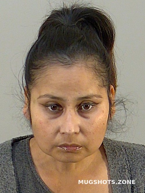 ROSA ELIA PEREZ 12/18/2022 - Lake County Mugshots Zone