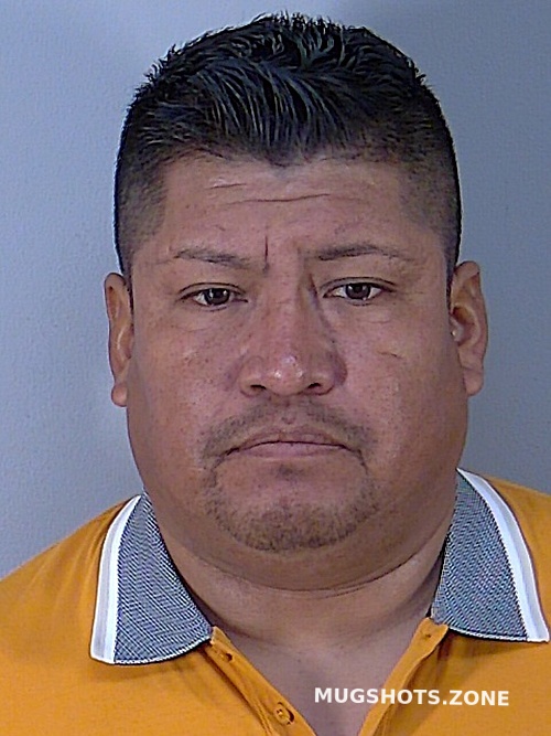 MIGUEL ANGEL MARTINEZ DE JESUS 12/24/2022 - Lake County Mugshots Zone