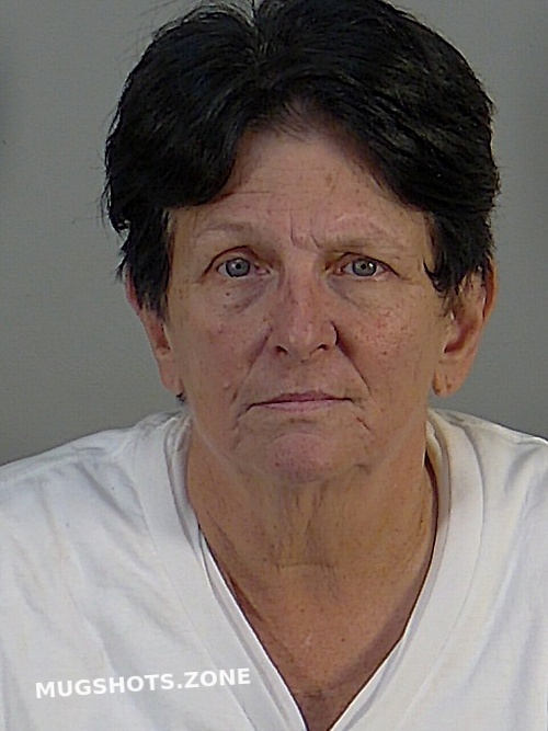 PATRICIA LEIGH ANDERSON 01/04/2023 - Lake County Mugshots Zone