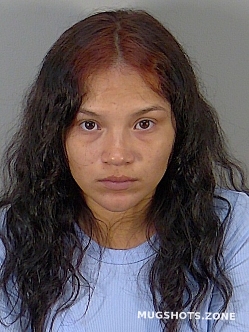 ASHLEY MARIE GONZALEZ 01/27/2023 - Lake County Mugshots Zone