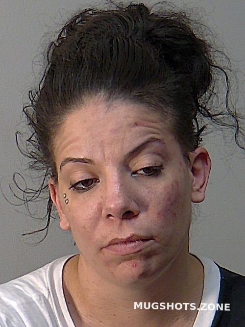 STEPHANIE NICCOLE HANLEY 01/28/2023 - Lake County Mugshots Zone