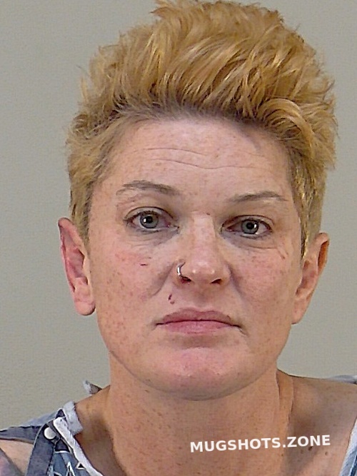 TINA MARIE HENDRICKS 02/05/2023 - Lake County Mugshots Zone
