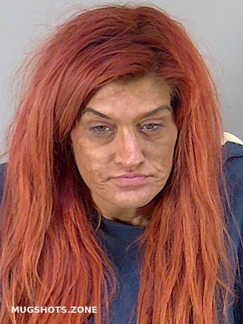 BRENDA LEANNE STILES 02/05/2023 - Lake County Mugshots Zone