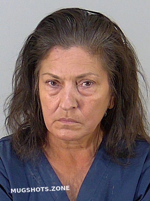 PATRICIA GARCIA MAILANDER 02/09/2023 - Lake County Mugshots Zone