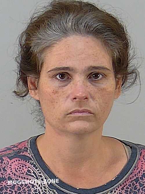 PATTY ANN GOINS 02/14/2023 - Lake County Mugshots Zone