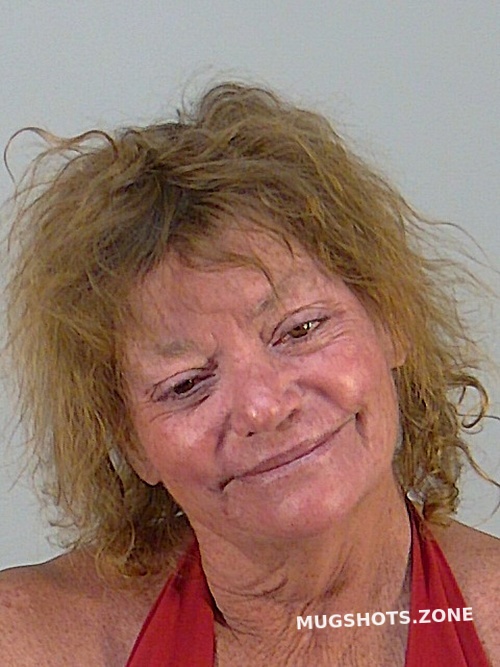 ANN FRANCIS VISSCHER 04/11/2023 - Lake County Mugshots Zone