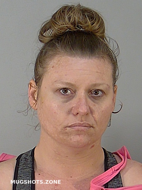 TONYA LYNN ROMERO 04/13/2023 - Lake County Mugshots Zone