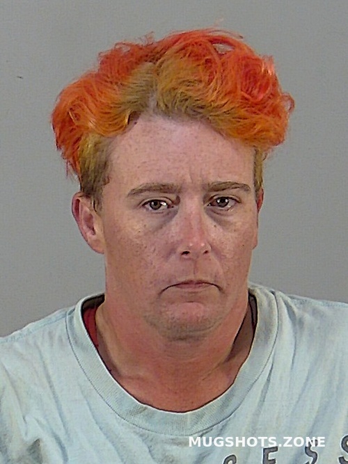 DIANE MARIE JENKINS 04/17/2023 - Lake County Mugshots Zone