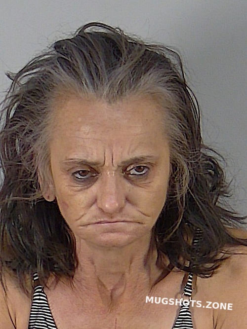 MICHELLE ANN SPANGLER 05/31/2023 - Lake County Mugshots Zone