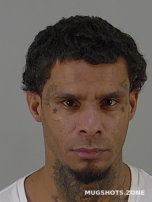 ROMAN JAVIER GUZMAN 06/12/2023 - Lake County Mugshots Zone