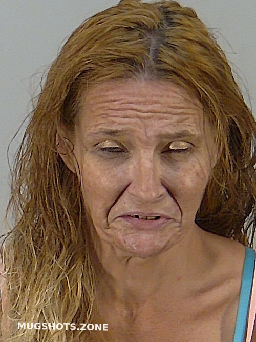 TONYA ELAINE PARLIER 07/01/2023 - Lake County Mugshots Zone TONYA ELAINE PARLIER 07/01/2023 - Lake County Mugshots Zone