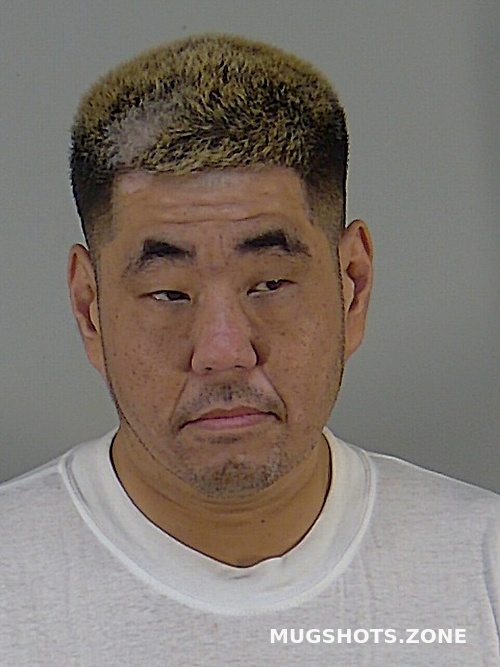 PETER M AHN 07/01/2023 - Lake County Mugshots Zone