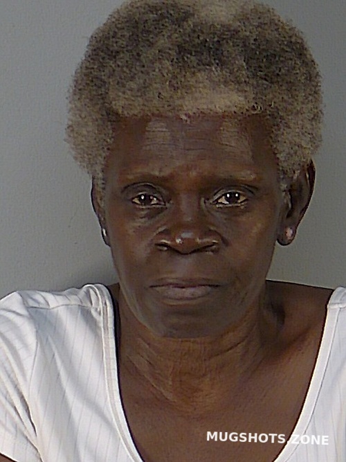 WANDA FAY COOPER 08/14/2023 - Lake County Mugshots Zone
