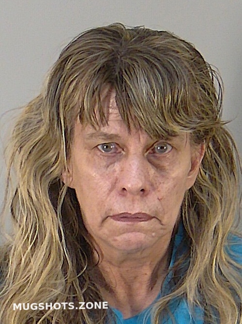 THERESA R SMITH 09/20/2023 - Lake County Mugshots Zone THERESA R SMITH 09/20/2023 - Lake County Mugshots Zone