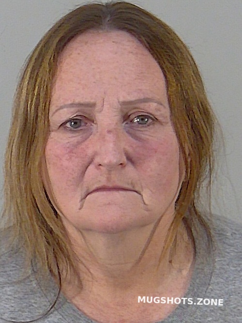 ALISON JANE HENNESSEY 09/25/2023 - Lake County Mugshots Zone