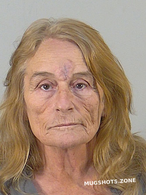 TINA MARIE MURRAY 11/10/2023 - Lake County Mugshots Zone