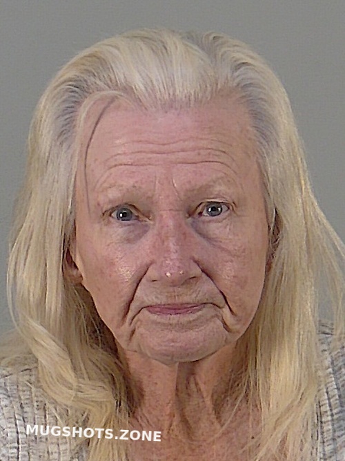 NANCY LYNN BELL 11/21/2023 - Lake County Mugshots Zone