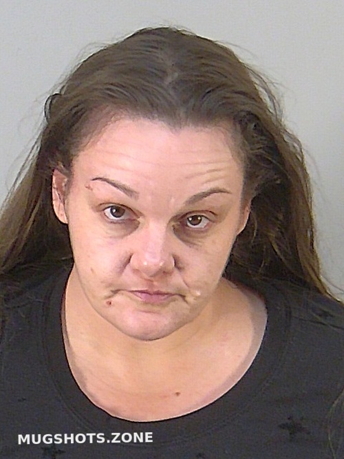 ANNA MARIE TOPPO 11/24/2023 - Lake County Mugshots Zone