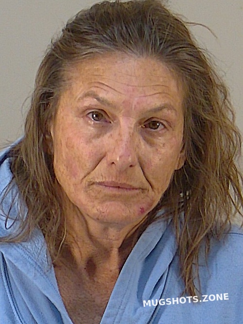 ELAINE CAROL RYAN 11/30/2023 - Lake County Mugshots Zone ELAINE CAROL RYAN 11/30/2023 - Lake County Mugshots Zone