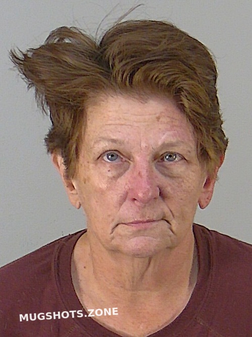 PATRICIA LEIGH ANDERSON 12/04/2023 - Lake County Mugshots Zone