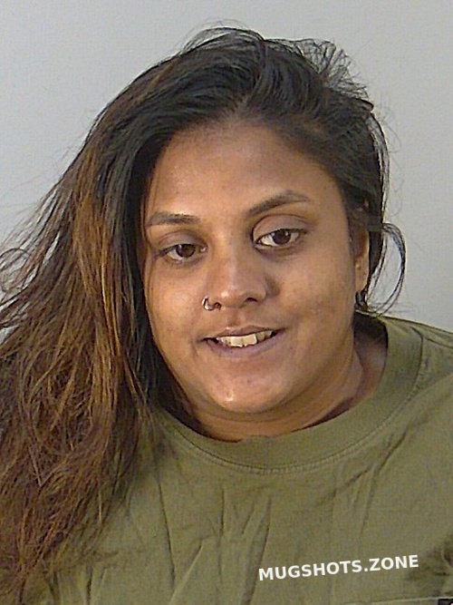 HANIFFA S HOSEIN 12/24/2023 - Lake County Mugshots Zone