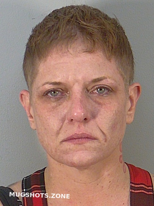 CYNTHIA ANN RAY 12/25/2023 - Lake County Mugshots Zone