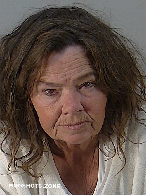 LISA KAY BURFIELD 01/01/2024 - Lake County Mugshots Zone