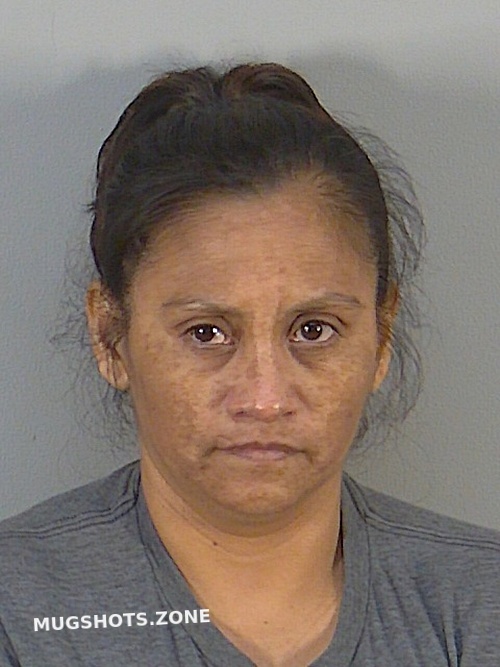 JUANA ANITA TINOCO 01/13/2024 - Lake County Mugshots Zone