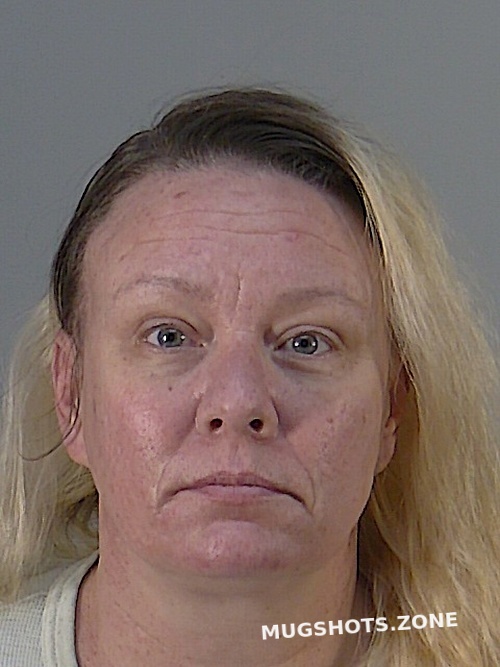 SUSAN ELIZABETH NEWMAN 02/20/2024 - Lake County Mugshots Zone