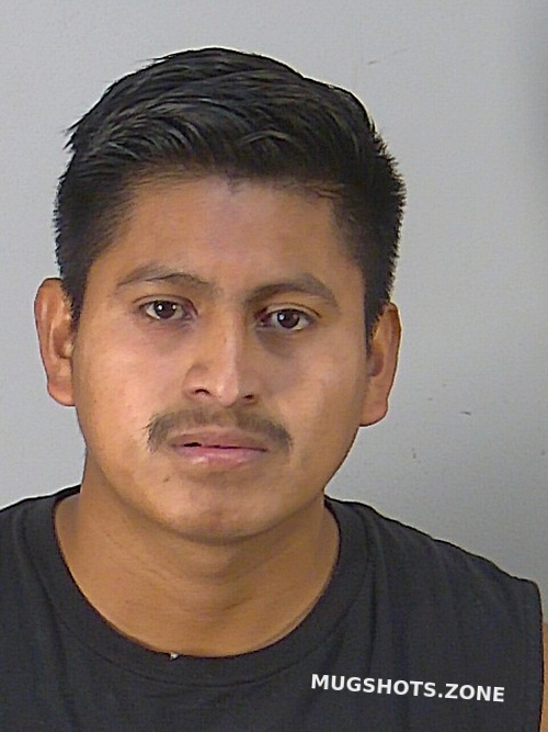 SARAIN RAMIREZ GABRIEL 02/24/2024 - Lake County Mugshots Zone