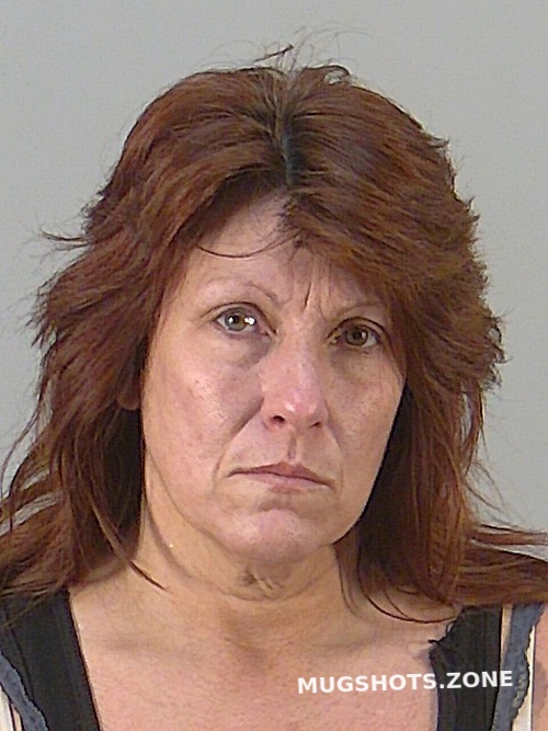 LISA MARIE DESENSI 03/02/2024 - Lake County Mugshots Zone