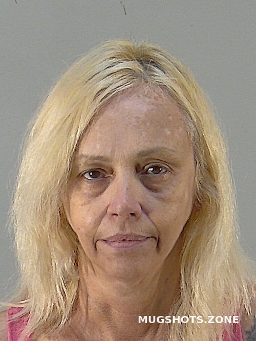 TAMMY RENEE CLARK 03/08/2024 - Lake County Mugshots Zone