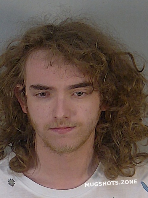 GAVIN MICHAEL TOWNSEND 03/13/2024 - Lake County Mugshots Zone