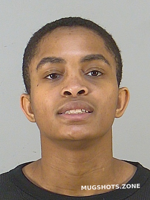 DESTINY MENA RENEEA WHITAKER 03/22/2024 - Lake County Mugshots Zone
