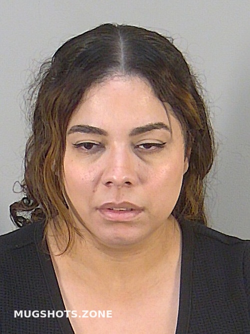 ANGELA MARIA AVILES 03/30/2024 - Lake County Mugshots Zone