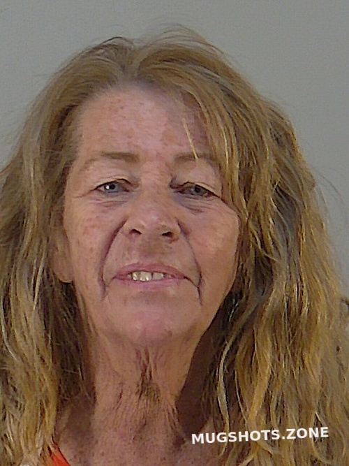 ELIZABETH SALINAS 04/24/2024 - Lake County Mugshots Zone