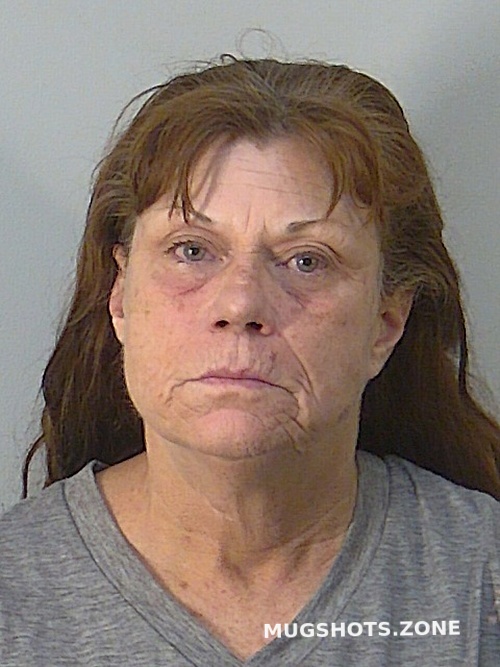 PATRICIA DEANE HEINS 06/09/2024 - Lake County Mugshots Zone