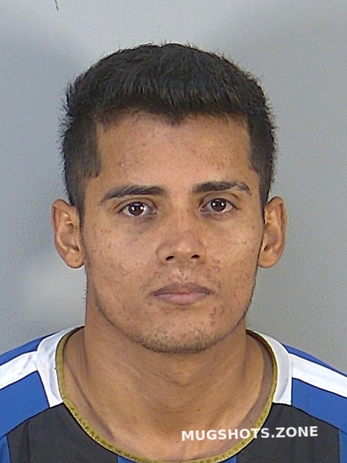 SAUL SANTOS MEDINA 06/20/2024 - Lake County Mugshots Zone