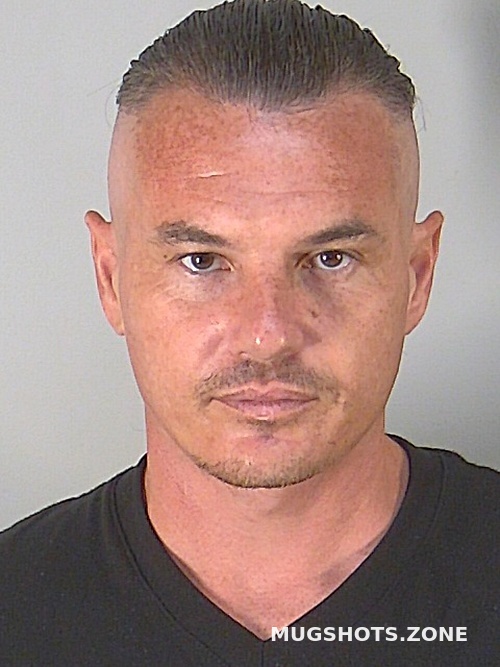 CHESTER RAY ANDERSON 06/25/2024 - Lake County Mugshots Zone