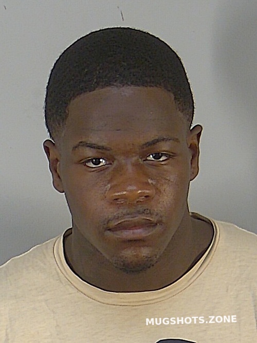 DARRELL TYRONE BIBBINS 07/12/2024 - Lake County Mugshots Zone