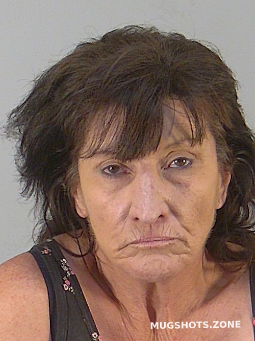 VALERIE ANN KRANTZ 07/22/2024 - Lake County Mugshots Zone VALERIE ANN KRANTZ 07/22/2024 - Lake County Mugshots Zone