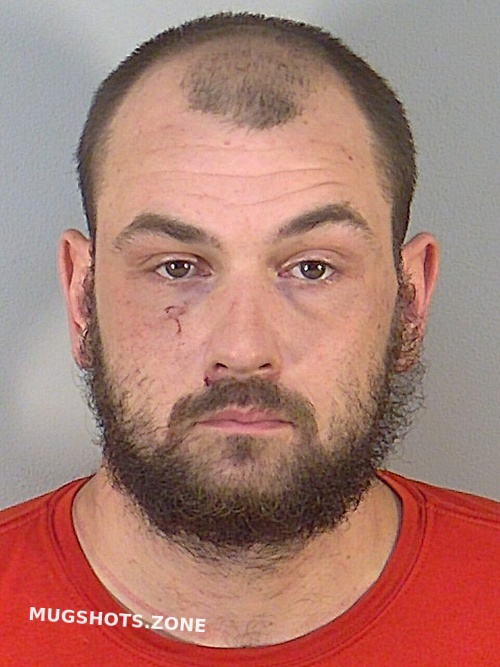 ALEX DAVID SHALOIKO 08/20/2024 - Lake County Mugshots Zone