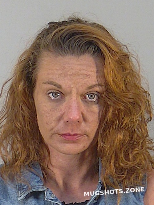 SIERRA SHEY SANFORD 08/20/2024 - Lake County Mugshots Zone