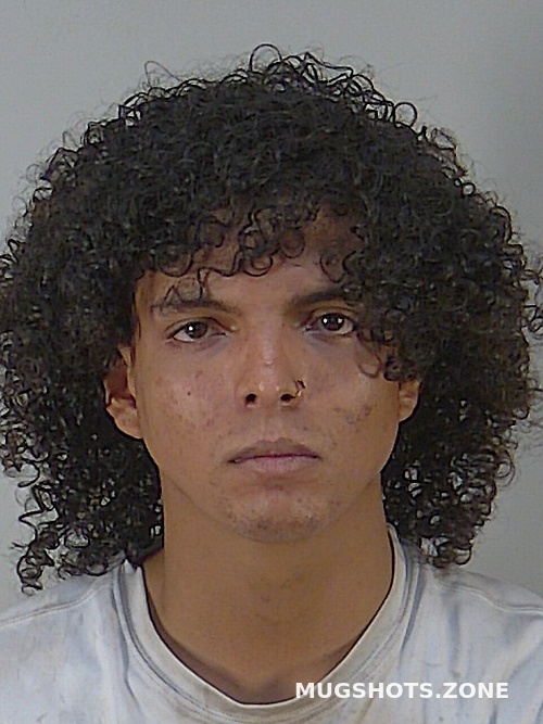 LUIS ELIA MARTINEZ 09/03/2024 - Lake County Mugshots Zone