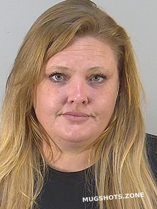 ERICA LYNN SMALL 09/13/2024 - Lake County Mugshots Zone