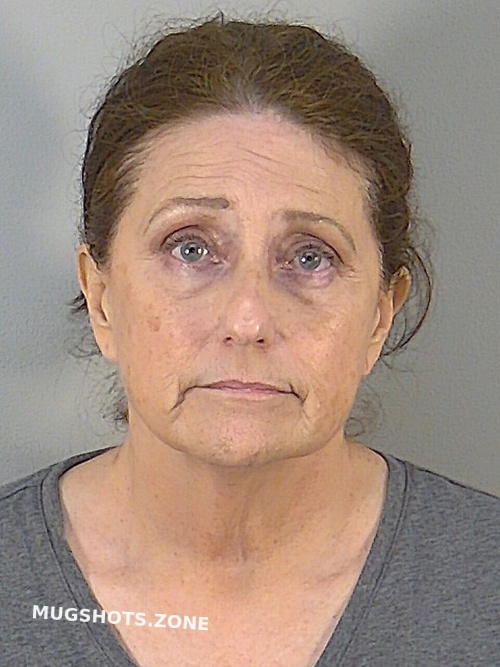 SHEILA ANN HUTCHINSON 09/17/2024 - Lake County Mugshots Zone